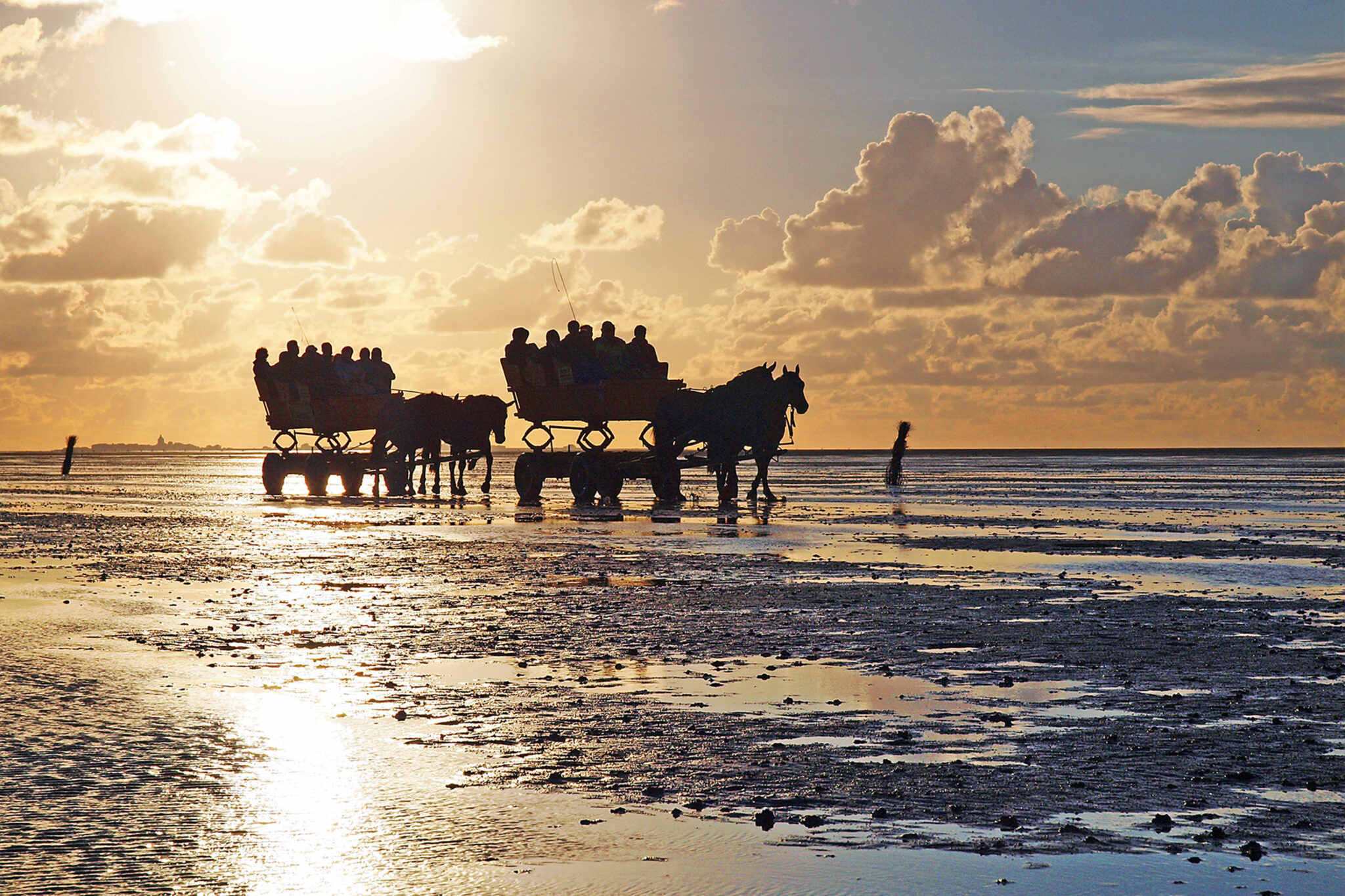 Wattenmeer - Urlaub in Cuxhaven